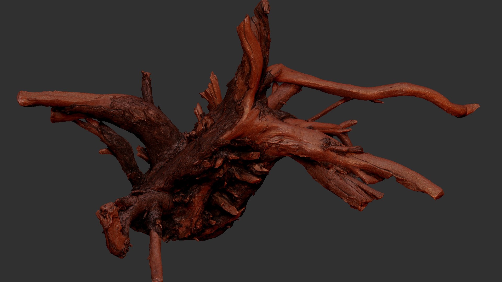 Tree Root 3D Scan 3D model - TurboSquid 2148161