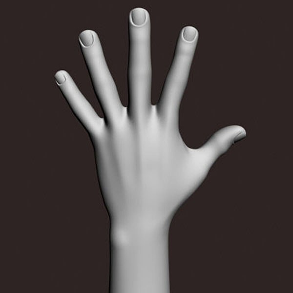 3ds max realistic male hand