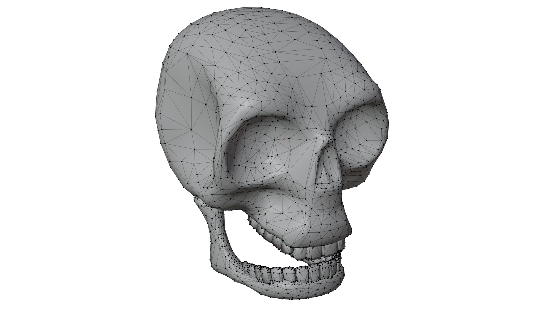 Skull Bone Material model - TurboSquid 2105358