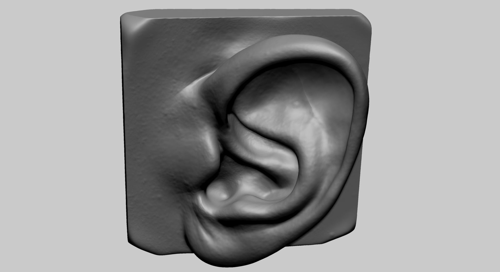 3D Ear Model B Model - TurboSquid 2198885