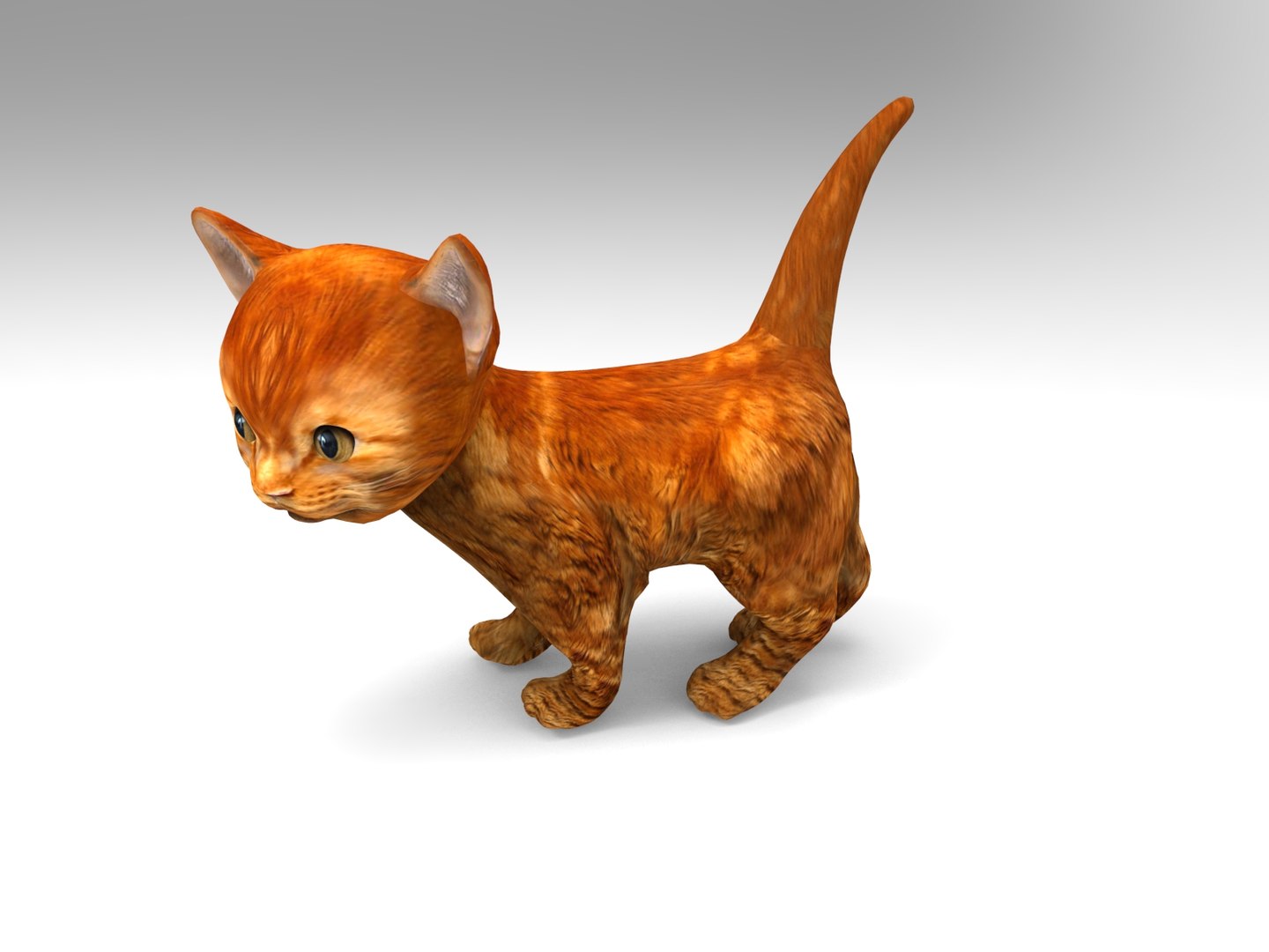 3D Cute Cat Animation Model - TurboSquid 1219596