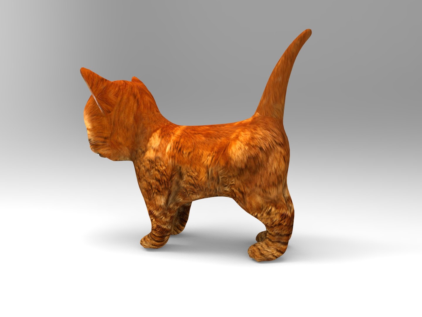 3D Cute Cat Animation Model - TurboSquid 1219596