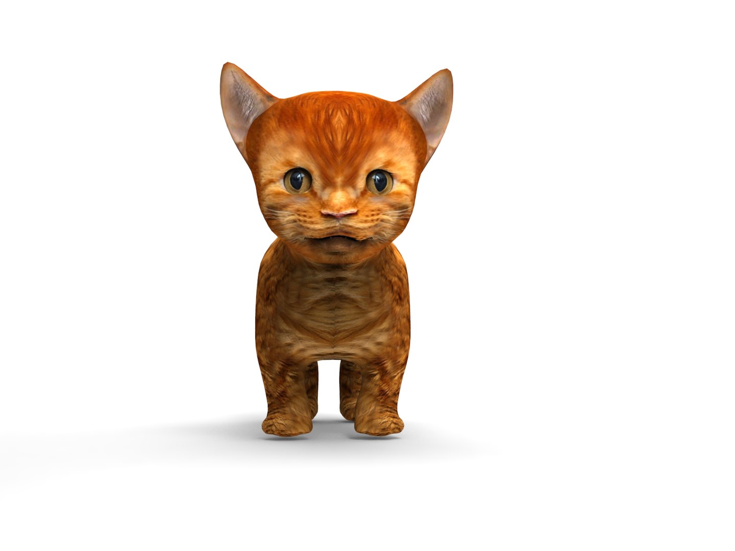 3D Cute Cat Animation Model - TurboSquid 1219596