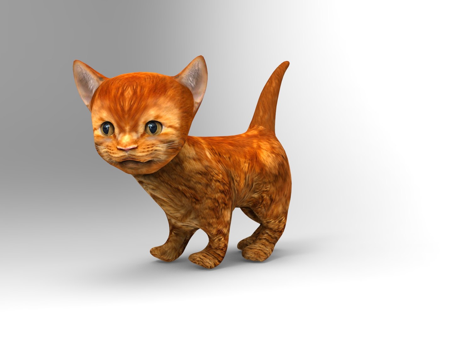 3D Cute Cat Animation Model - TurboSquid 1219596