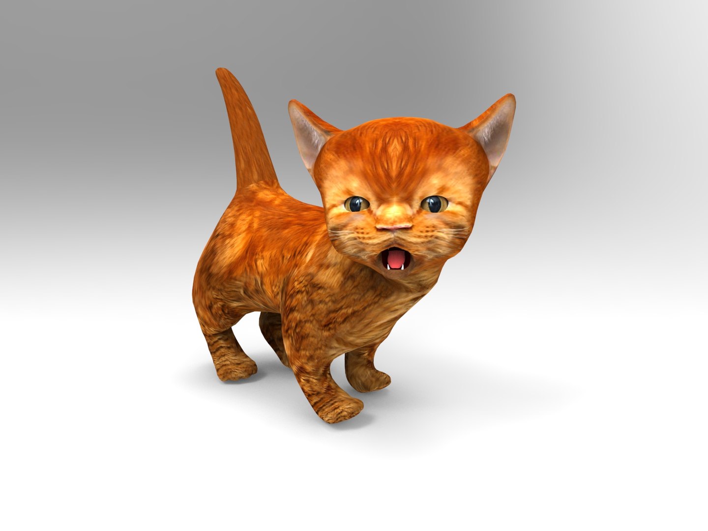 3D Cute Cat Animation Model - TurboSquid 1219596