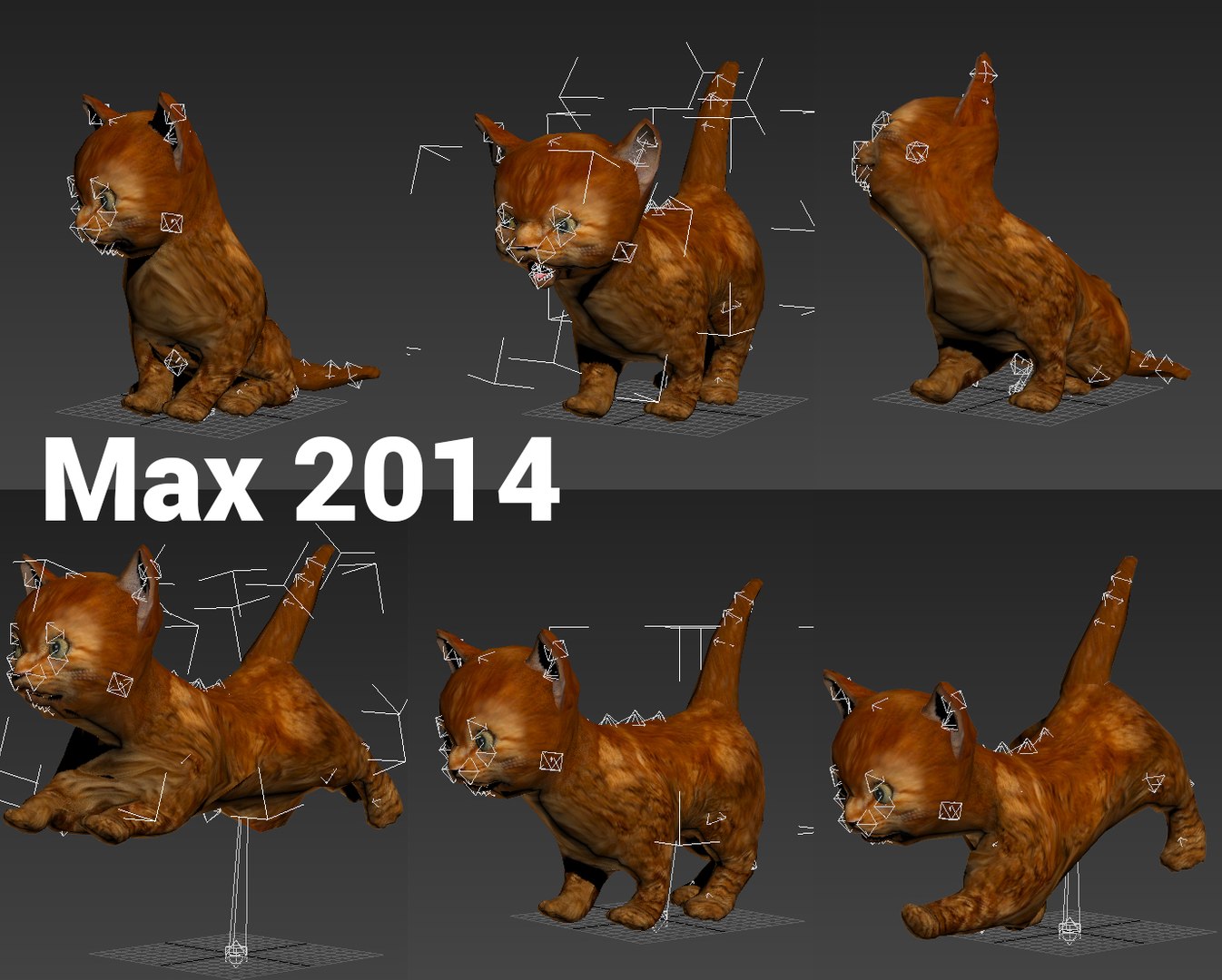 3D Cute Cat Animation Model - TurboSquid 1219596