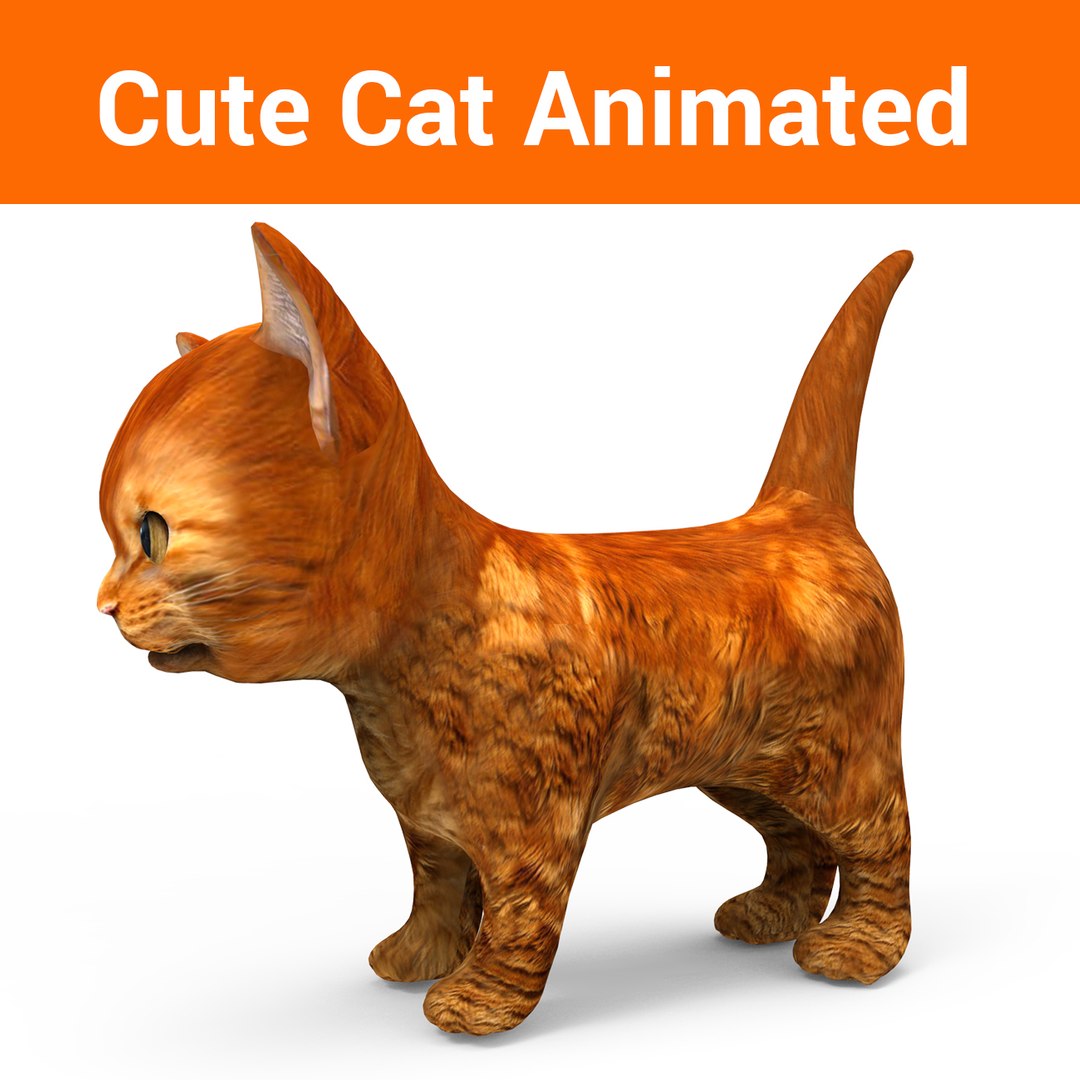3D Cute Cat Animation Model - TurboSquid 1219596