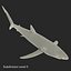 3d Blue Shark Model