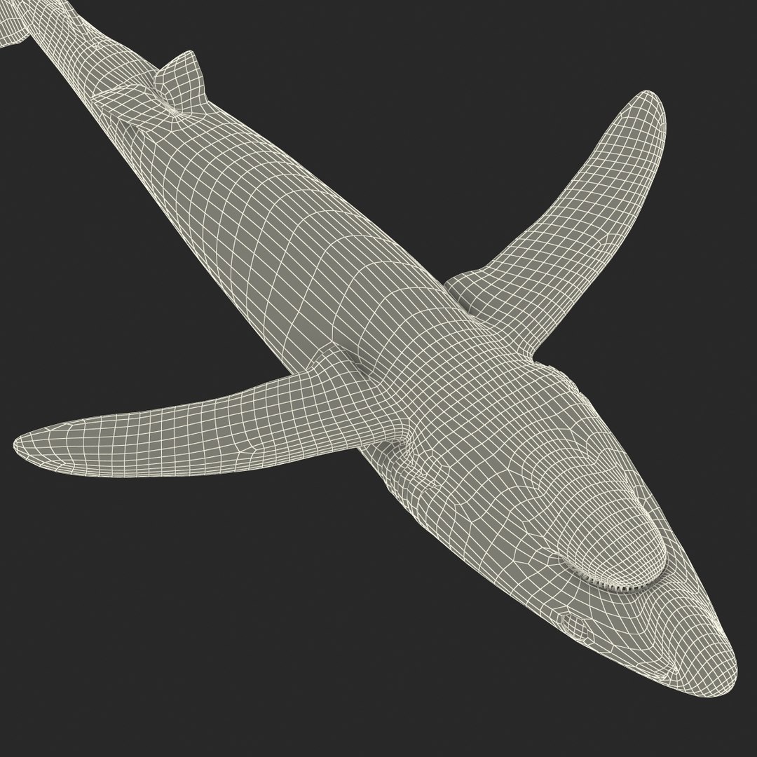 3d blue shark model