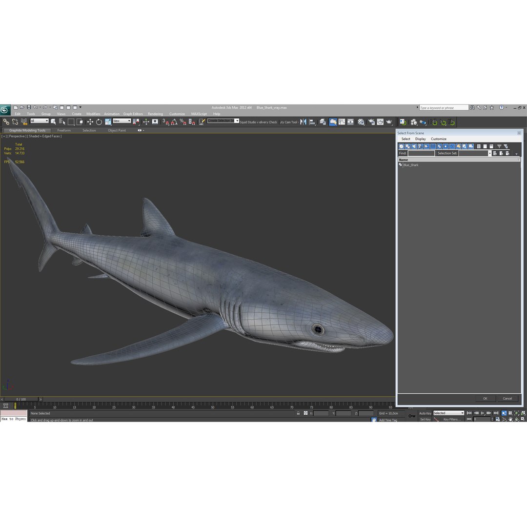 3d blue shark model