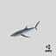 3d Blue Shark Model