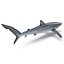 3d Blue Shark Model