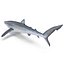 3d Blue Shark Model