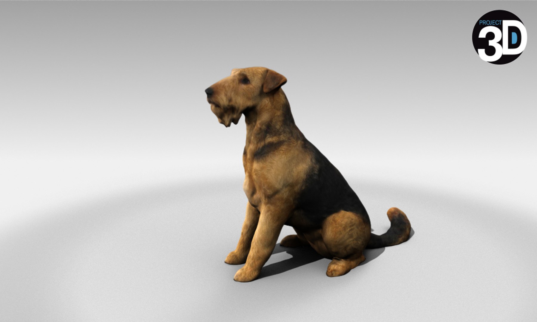 3d Model Dog