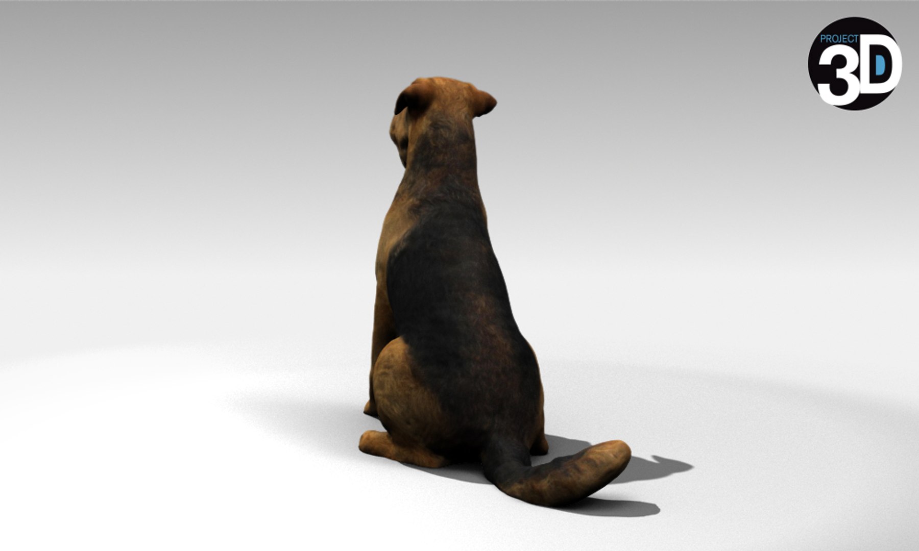 3d Model Dog