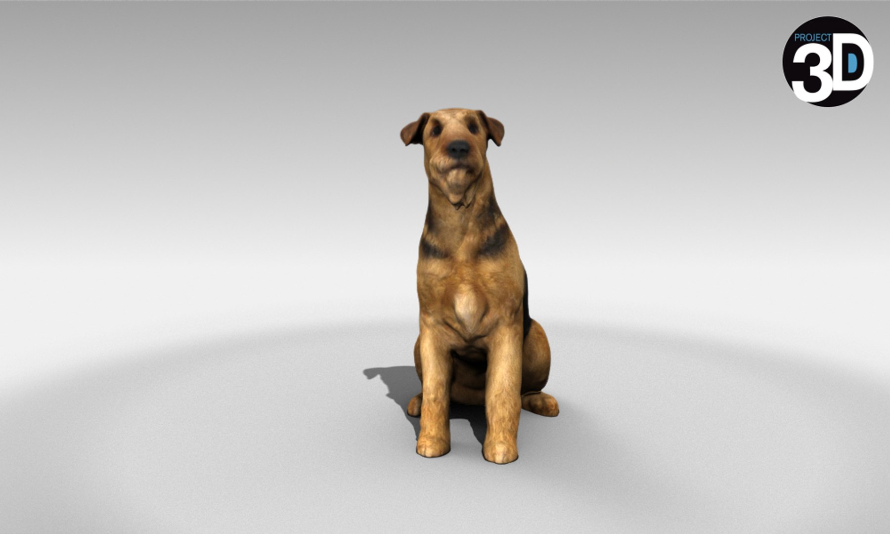 3d Model Dog