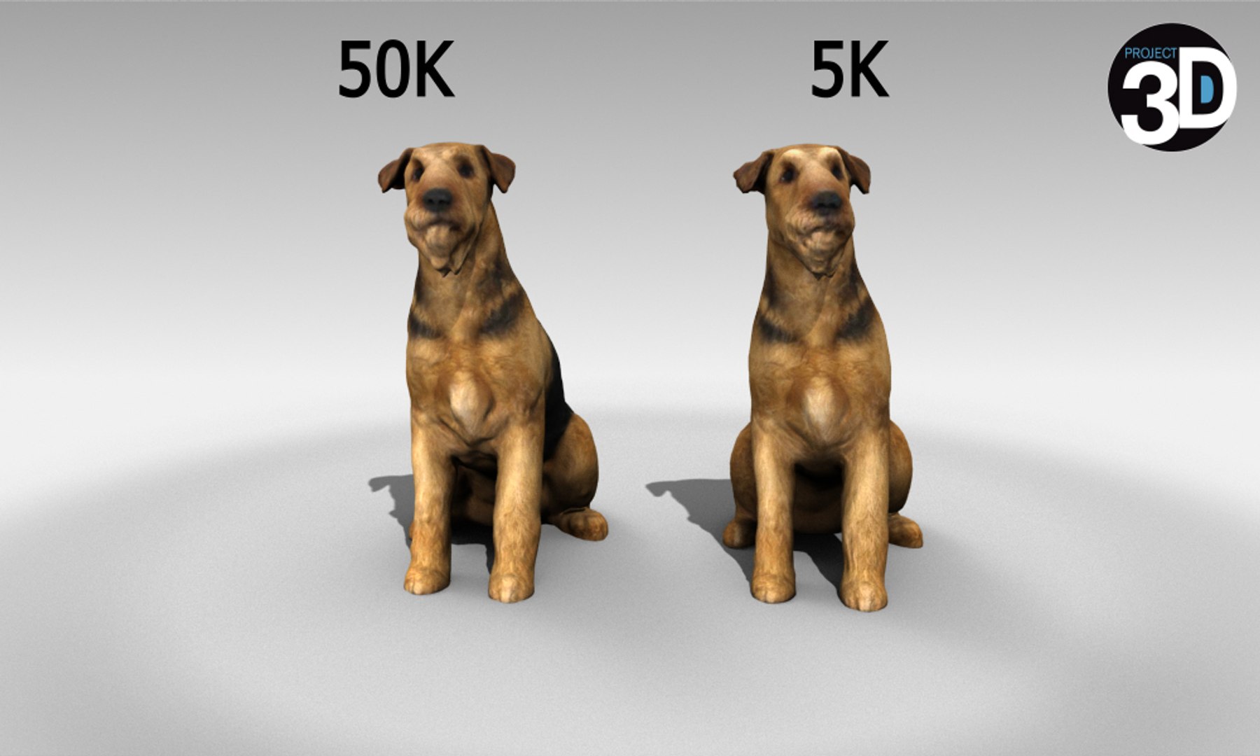 3d Model Dog