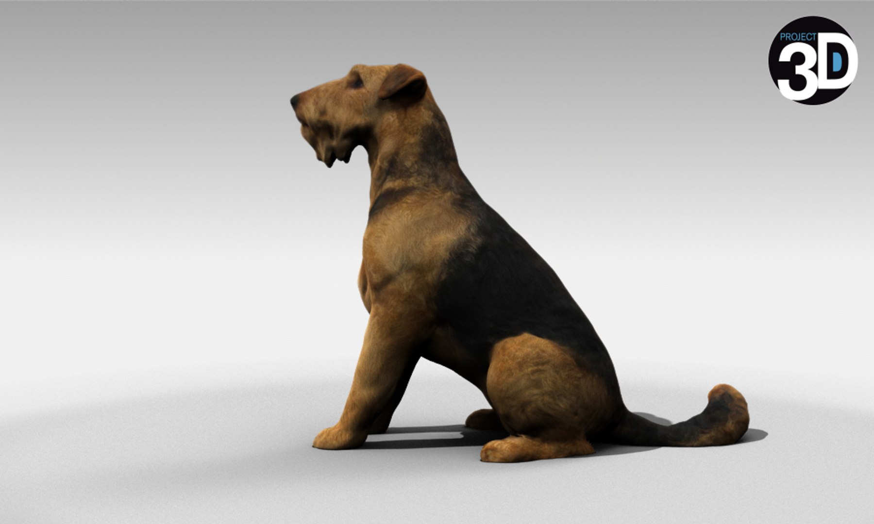 3d Model Dog