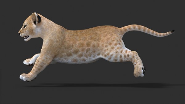 Lion cub animation model - TurboSquid 1462707
