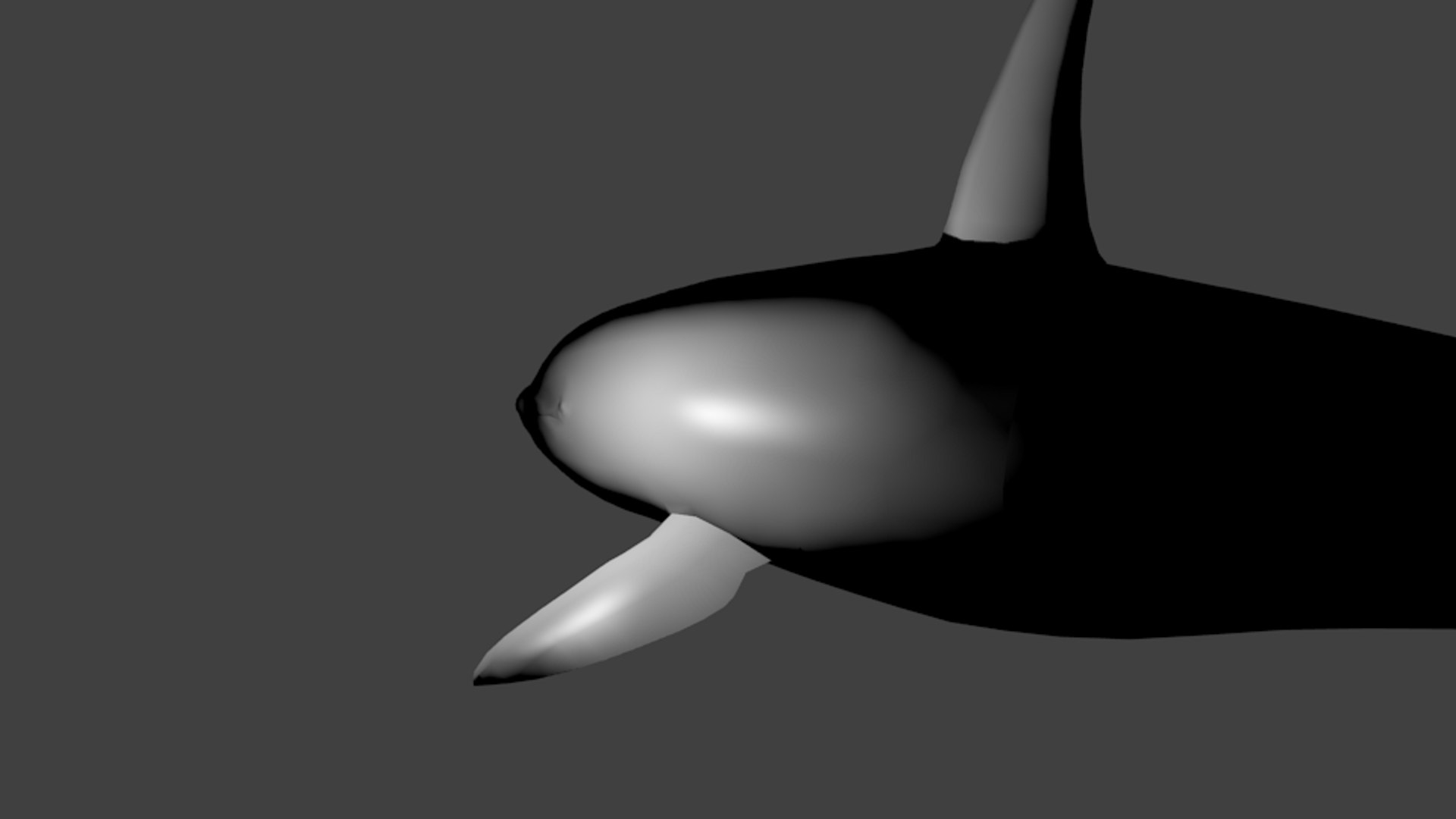 3d Orca