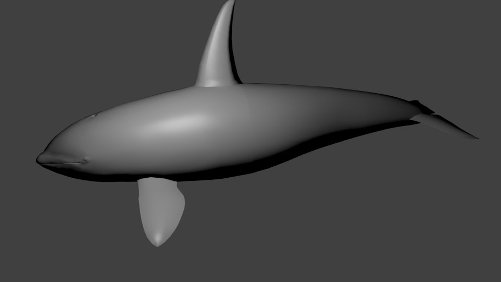 3d Orca