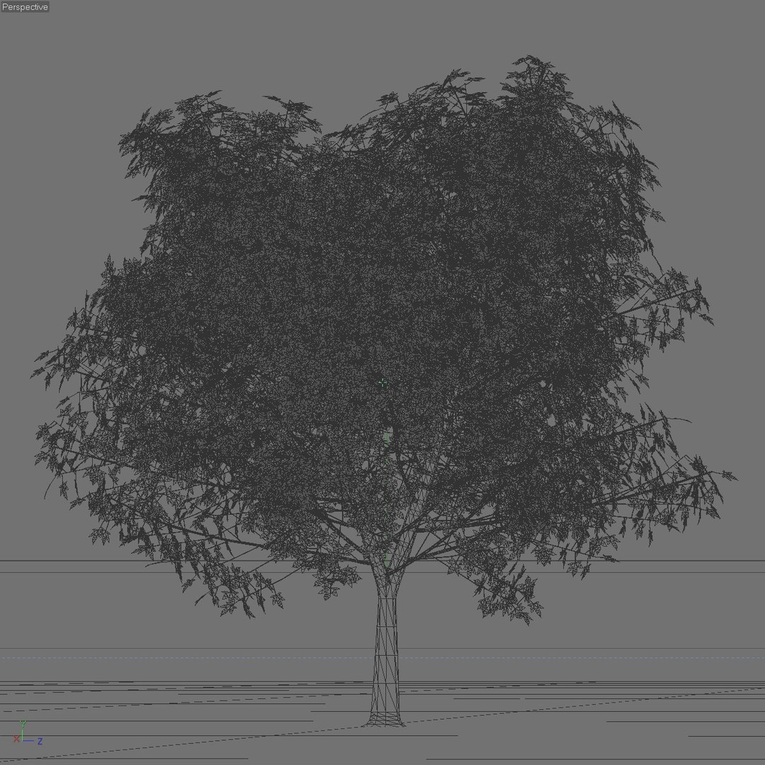 3d model of plane tree
