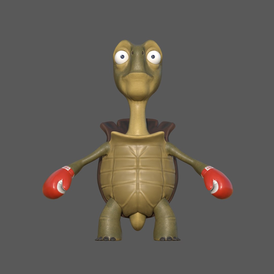 Stylized Turtle Harpie The Boxer 3D - TurboSquid 2294055