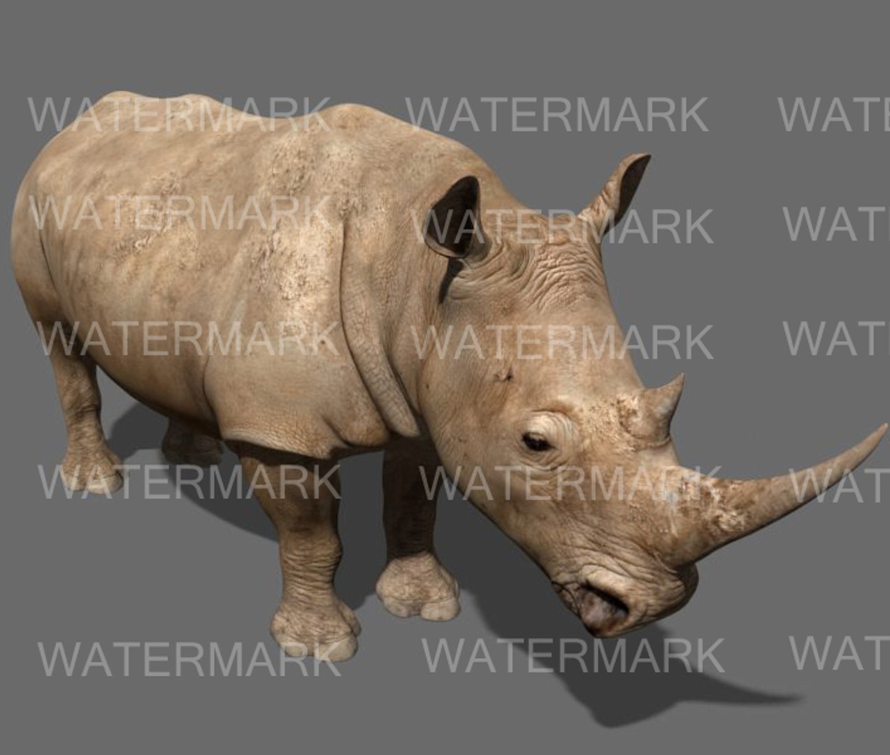 ultimate rhino 3d obj