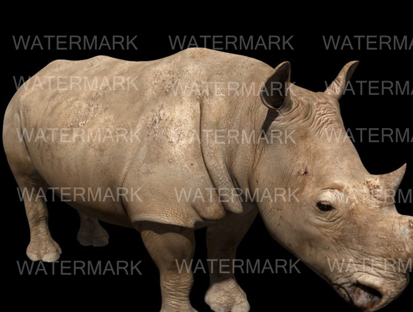 ultimate rhino 3d obj