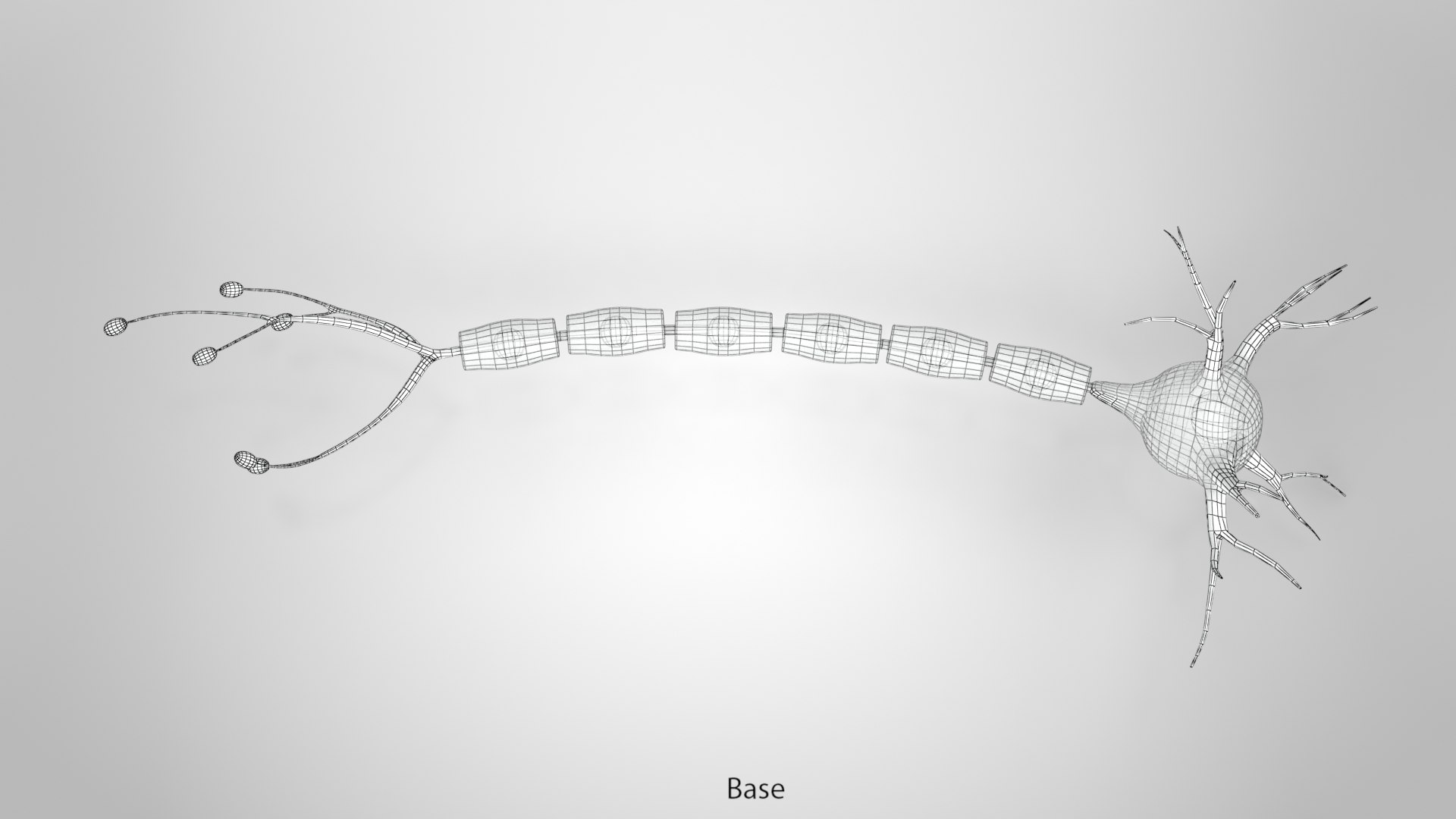 3D Model Neuron Cell - TurboSquid 1975677