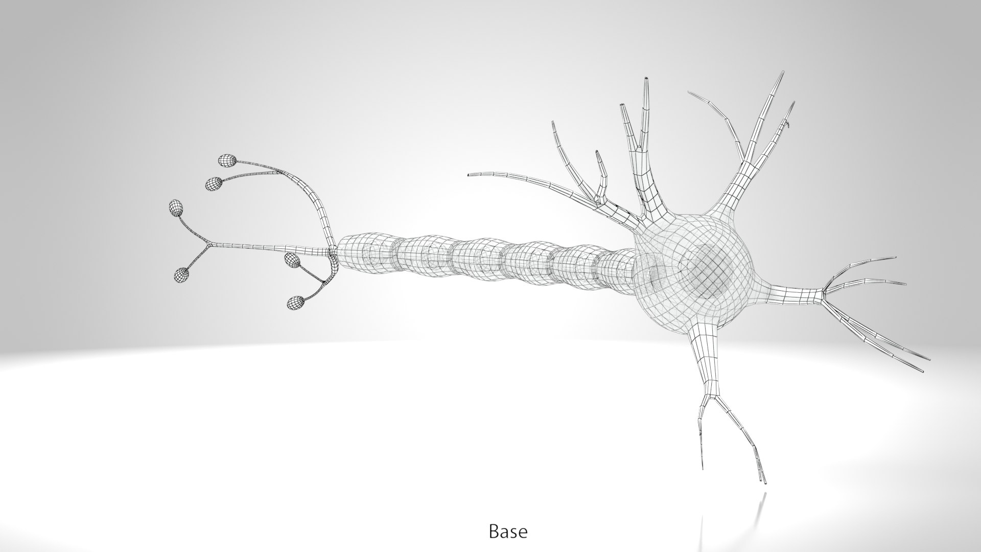 3D Model Neuron Cell - TurboSquid 1975677