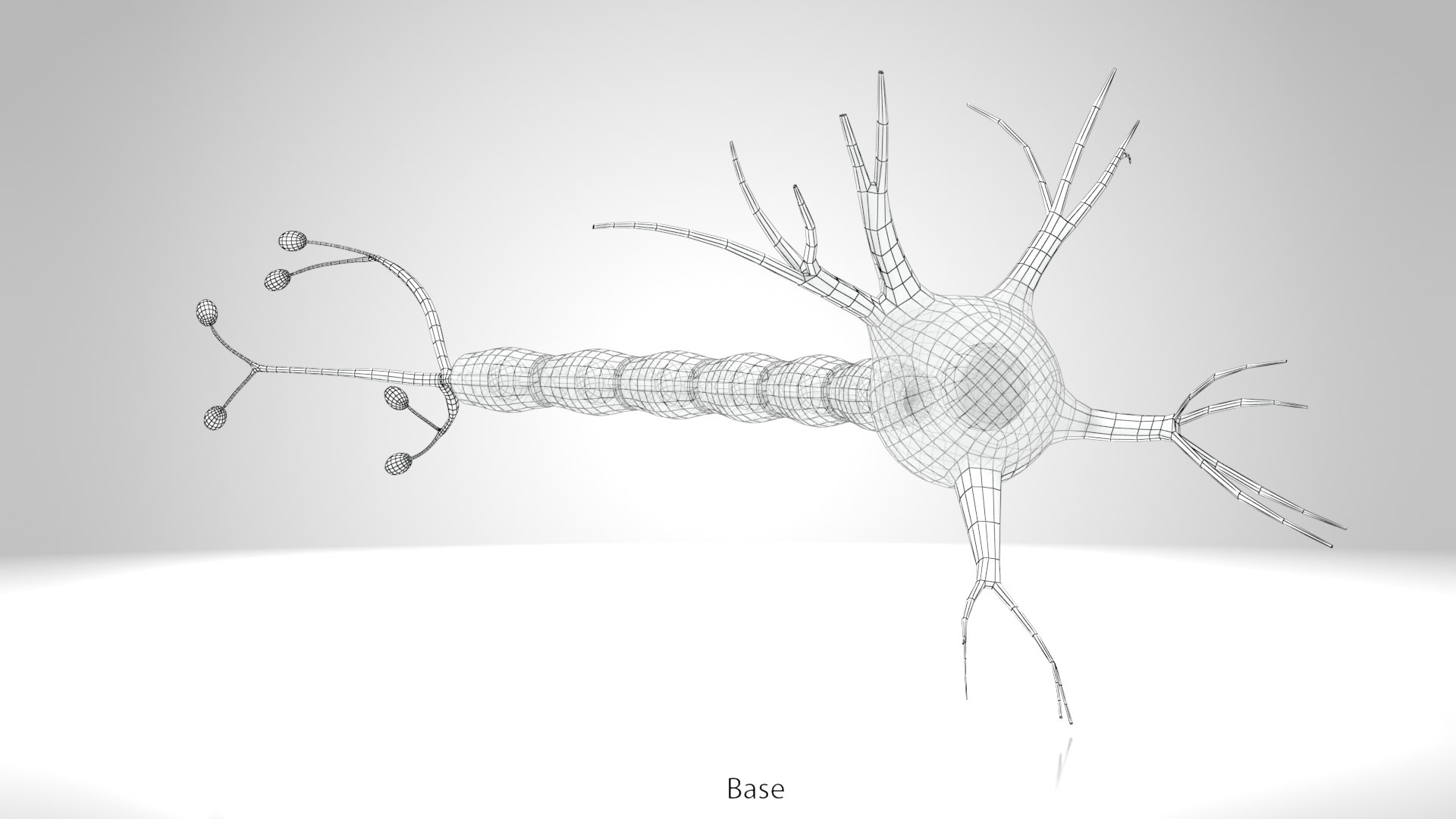 3D Model Neuron Cell - TurboSquid 1975677