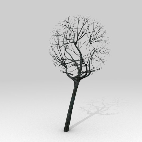 tree leaf 3d model