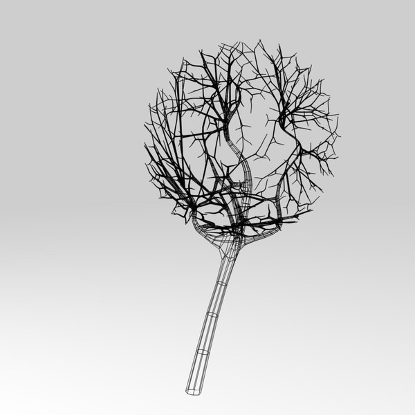 tree leaf 3d model