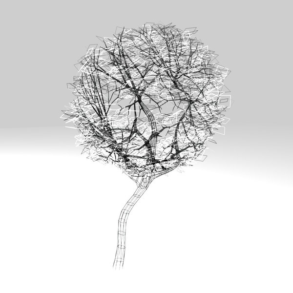 tree leaf 3d model