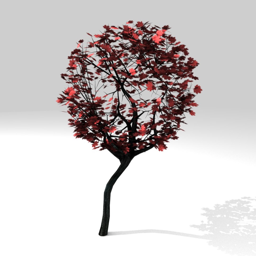 tree leaf 3d model