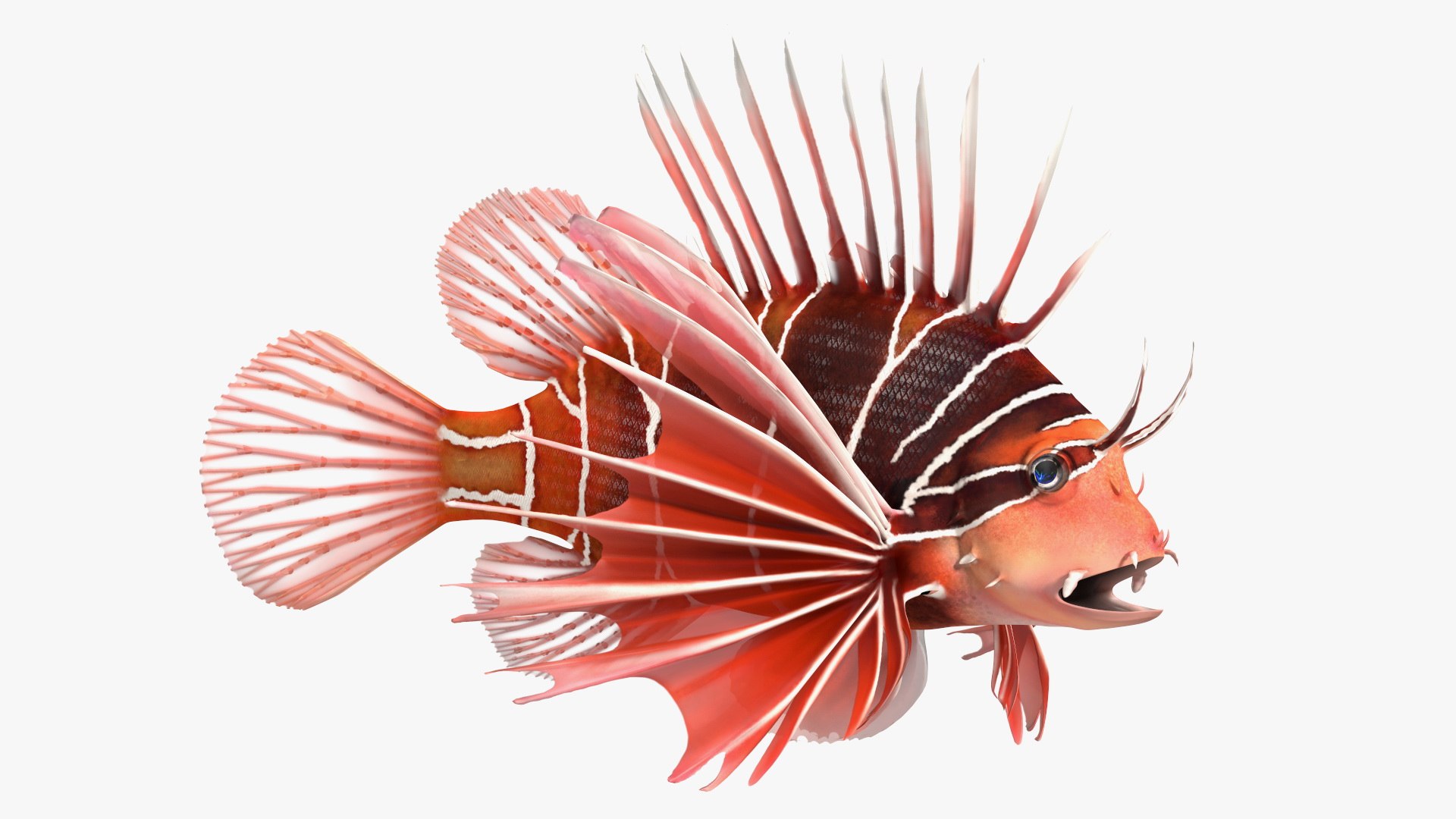 Clearfin Lionfish Rigged 3D - TurboSquid 2000248