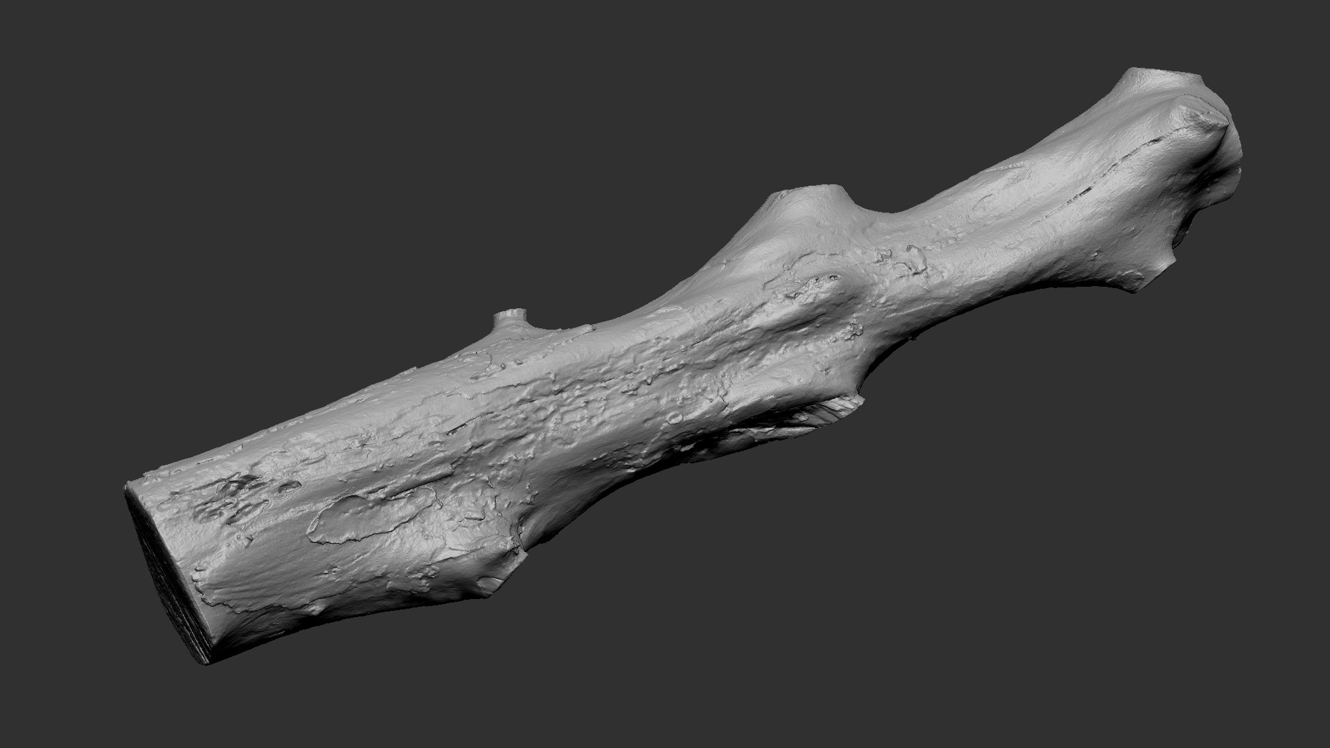 3D 3d Scan Withered Tree Trunk In Highpoly - TurboSquid 2202681