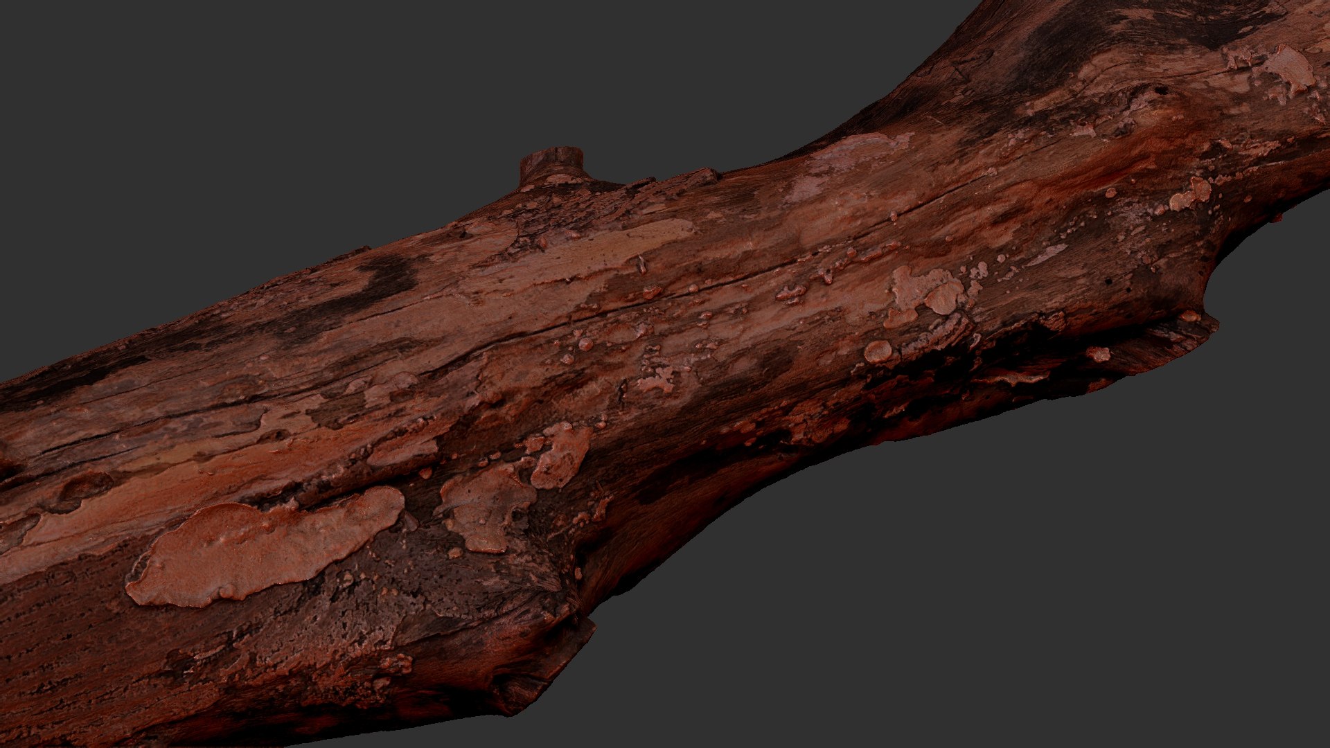 3D 3d Scan Withered Tree Trunk In Highpoly - TurboSquid 2202681
