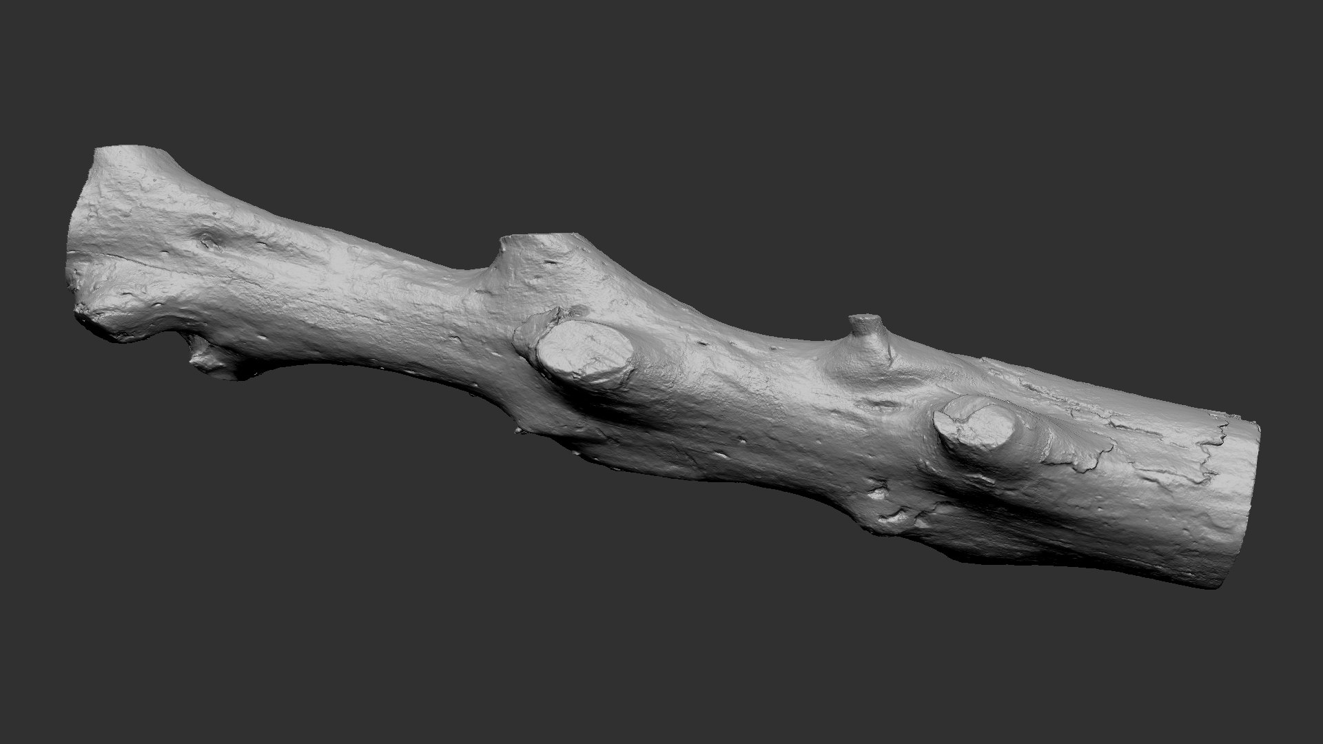 3D 3d Scan Withered Tree Trunk In Highpoly - TurboSquid 2202681