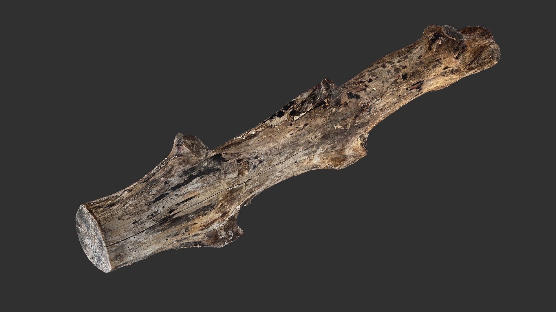 3D 3d Scan Withered Tree Trunk In Highpoly - TurboSquid 2202681