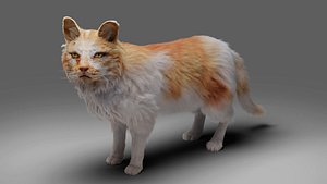 Cat Blender Models for Download | TurboSquid