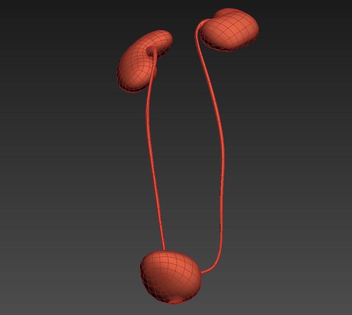 3d Anatomically Realistic Human Kidneys