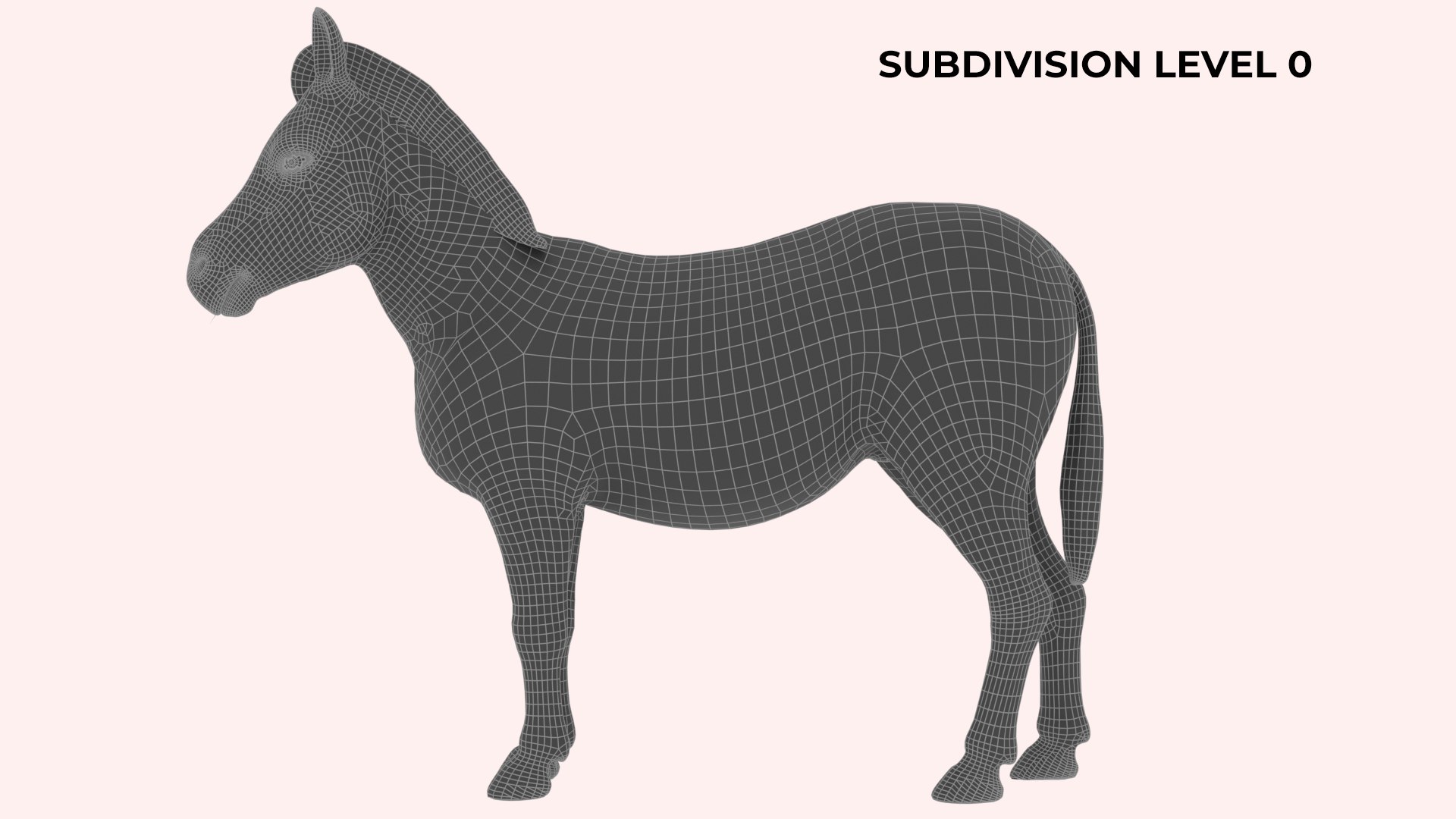 3D Zebra Model - TurboSquid 1742935