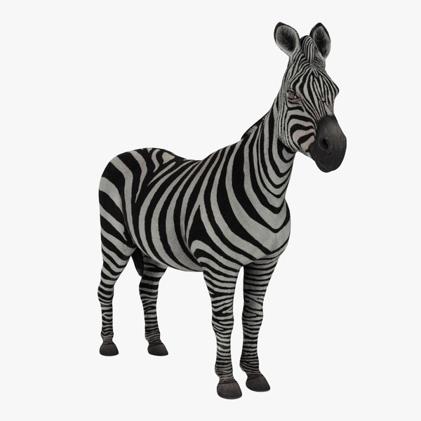 Zebra 3D Models for Download | TurboSquid