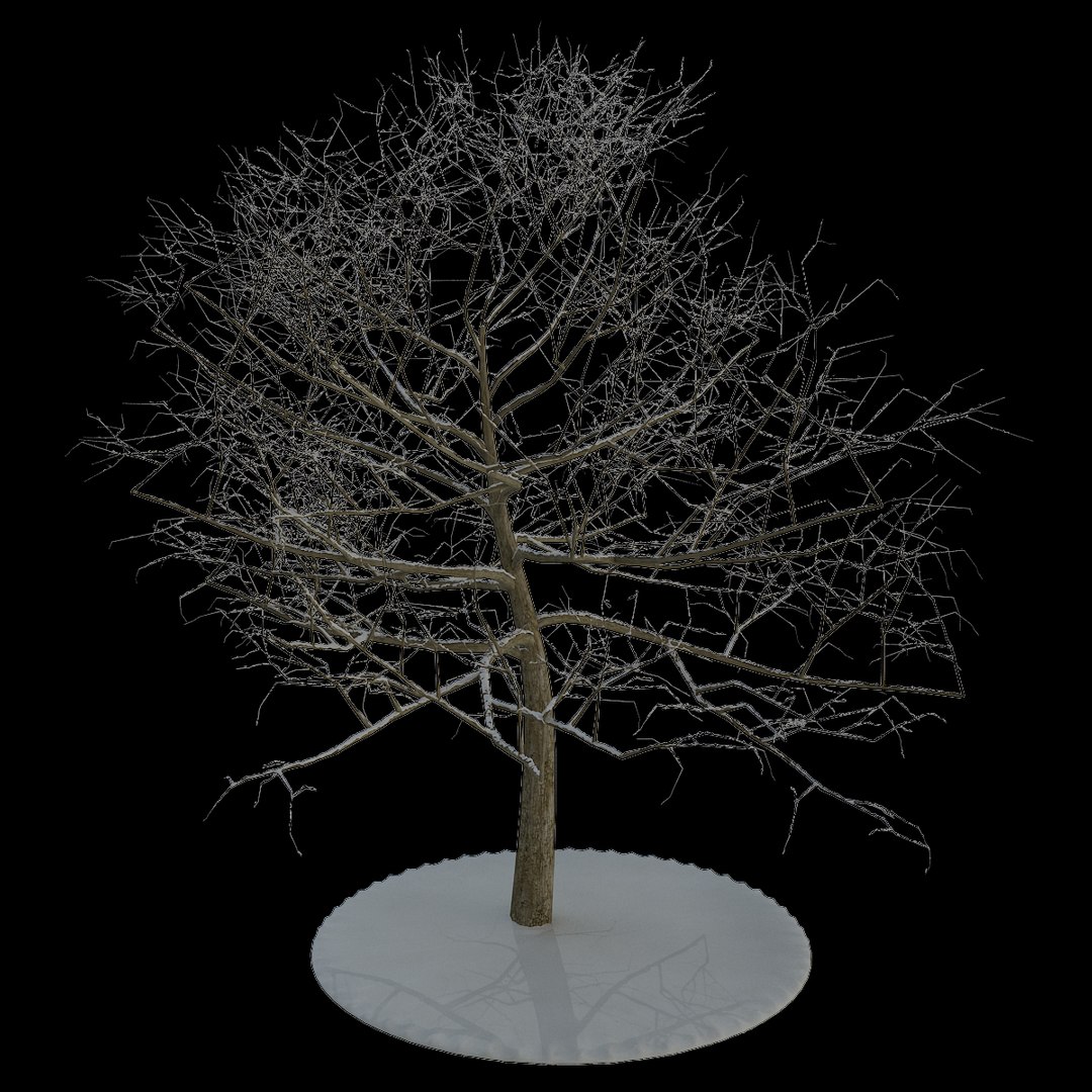 3d tree 6 branches snow