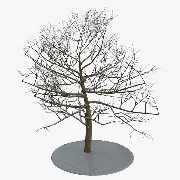 3d tree 6 branches snow