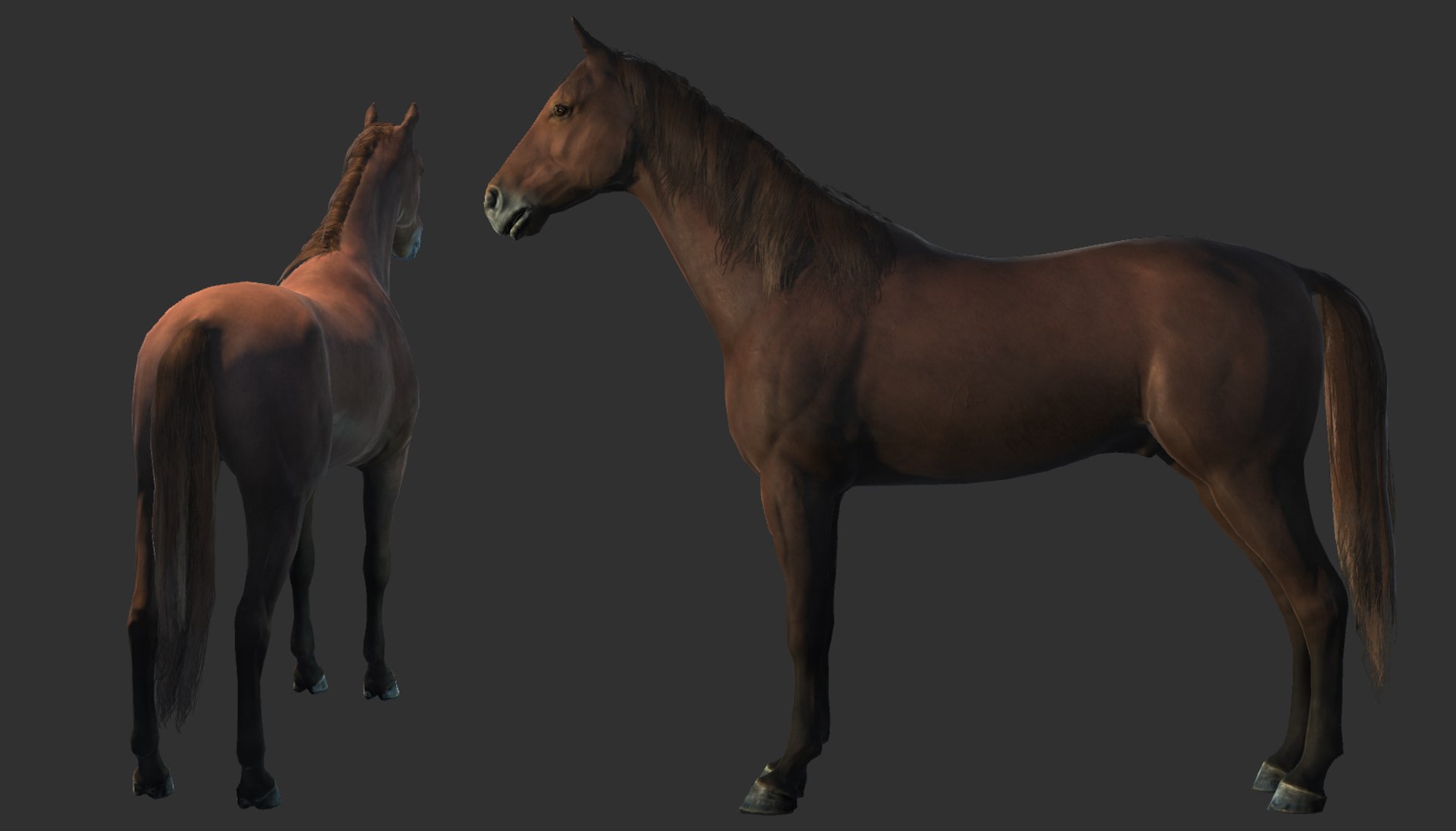 Horse Rigged Animations Obj
