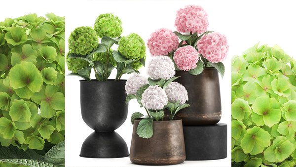 Free 3D Ferm-Living Models | TurboSquid