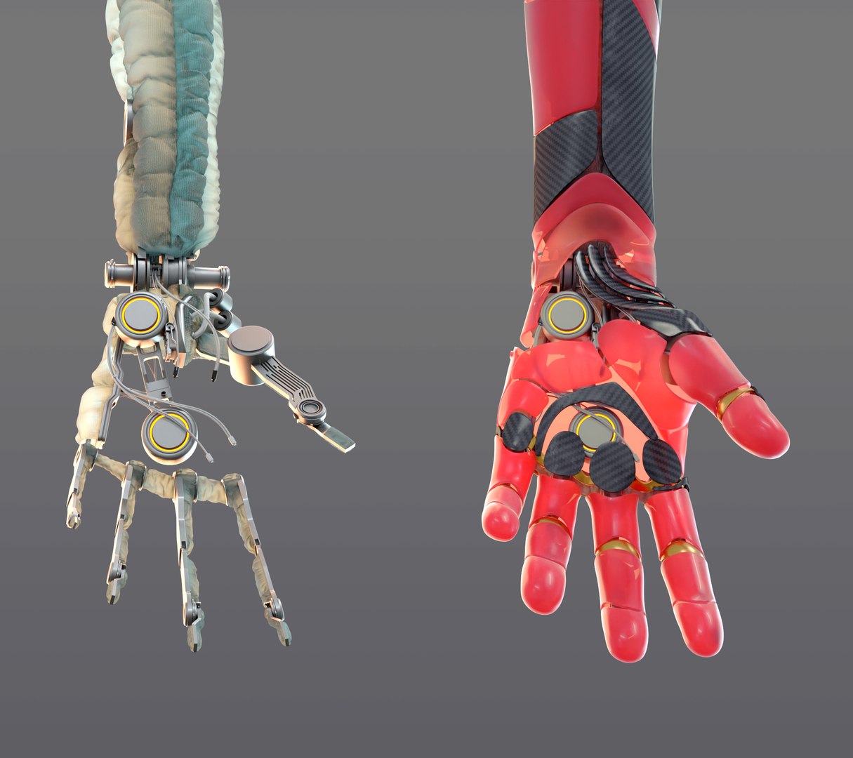3D Hand Anatomy Mechanical - TurboSquid 1605025